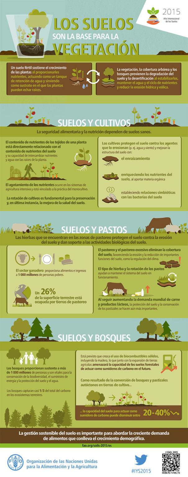 FAO-Infographic-IYS2015-fs4-es-01 - Enseñanza en la Ciencia del ...